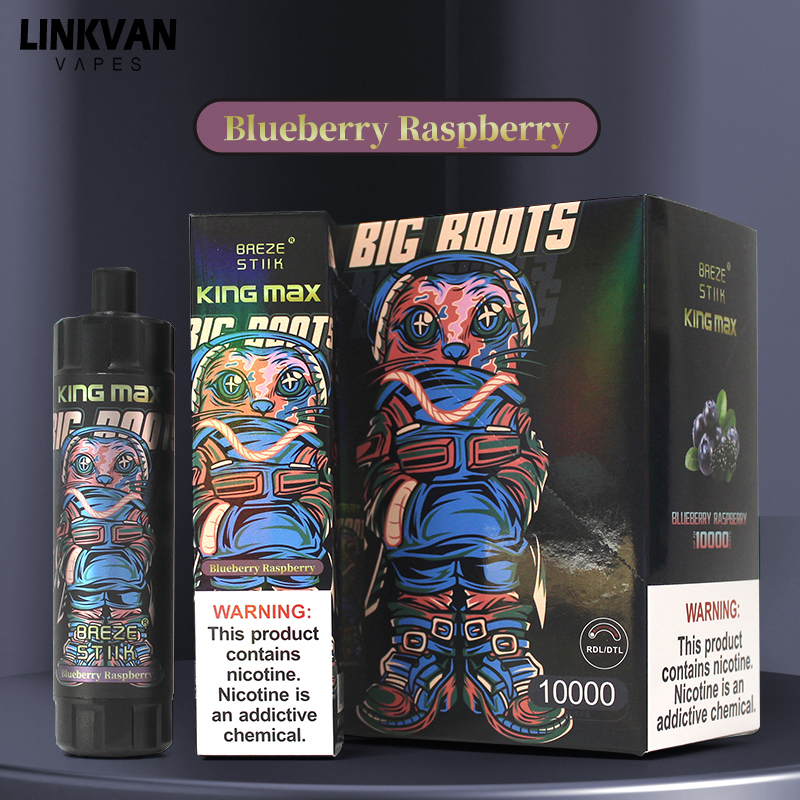 BREZE STIIK KING MAX DISPOSABLE VAPE （10000 PUFFS / 20ML) - Linkvan