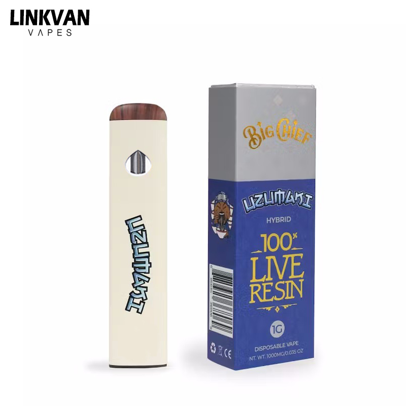 BIG CHIEF DISPOSABLE - Linkvan